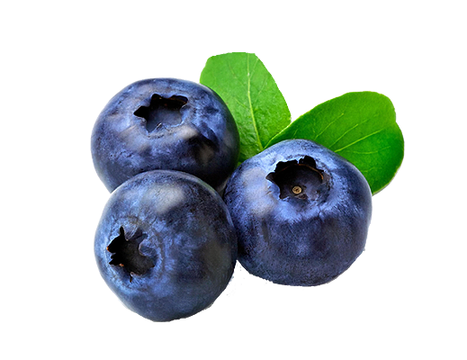 Mirtilli - OFFICIAL FRAGOLIAMO | SOCIETA’ AGRICOLA SEMPLICE, Brenzone ...